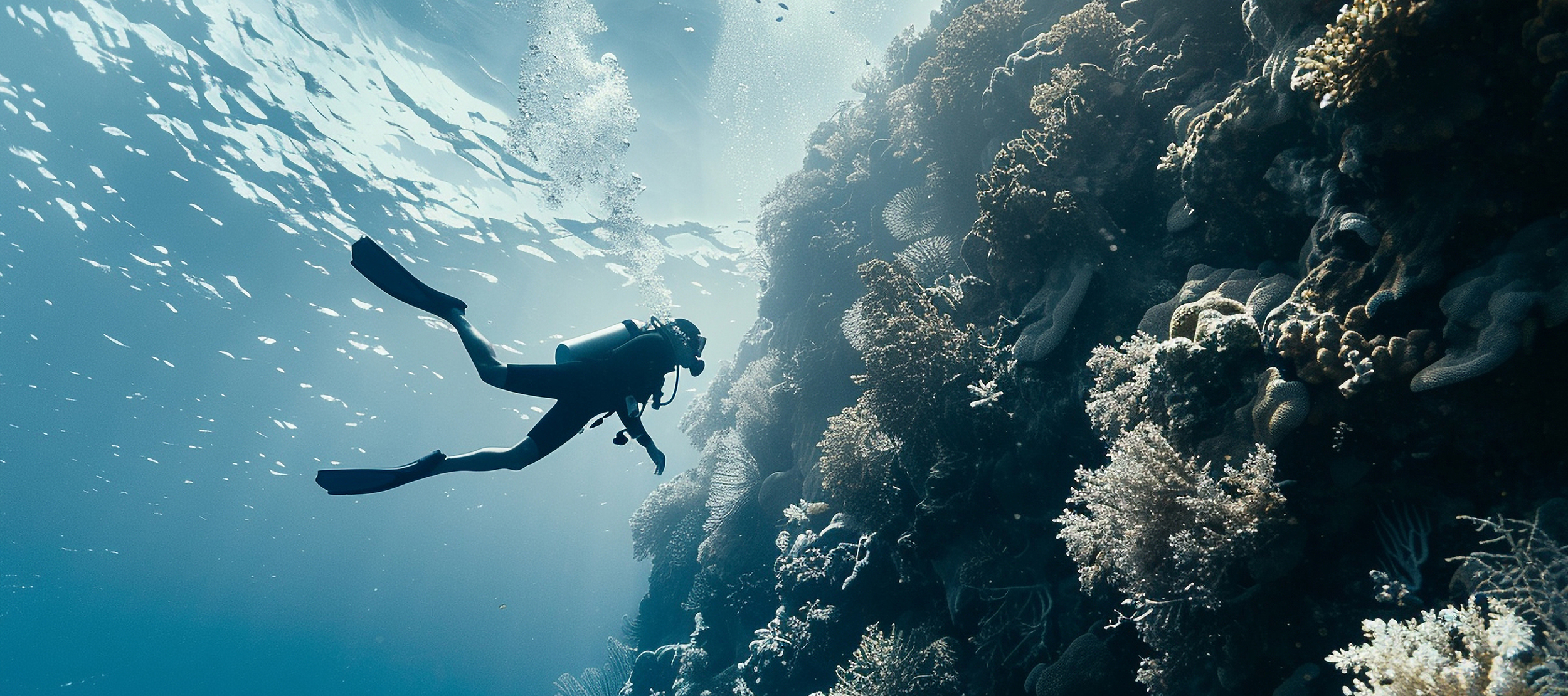 Daily Diving & Special Offers – Alpha-Divers Ayia Napa